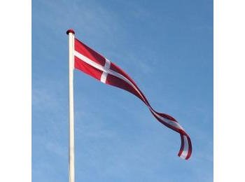 Stander - bannervimpel 60x150 cm - Standere (bred vimpel ...